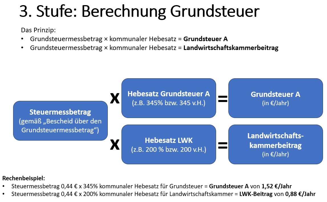 Grundsteuer Wald verstehen und berechnen